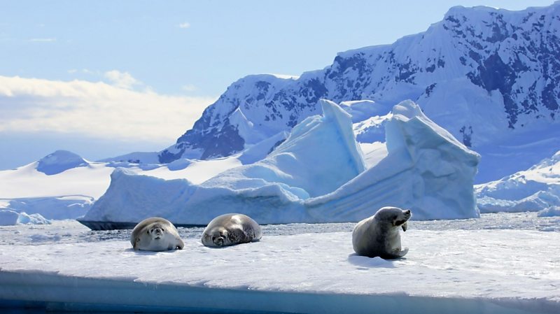 The 7 continents - KS2 Geography - BBC Bitesize