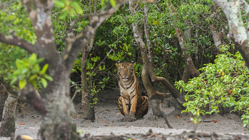 The 7 continents - KS2 Geography - BBC Bitesize