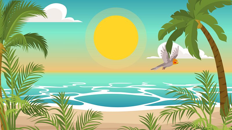 KS2 Science: Explain, Explore, Expand - BBC Teach