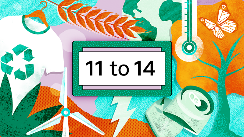 What is a carbon footprint? - KS3 - The Regenerators - BBC Bitesize