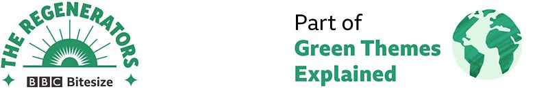What is a carbon footprint? - KS3 - The Regenerators - BBC Bitesize
