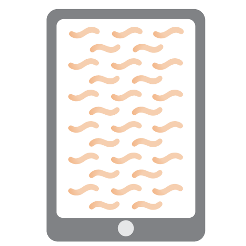 Keeping digital devices safe from malware - BBC Bitesize