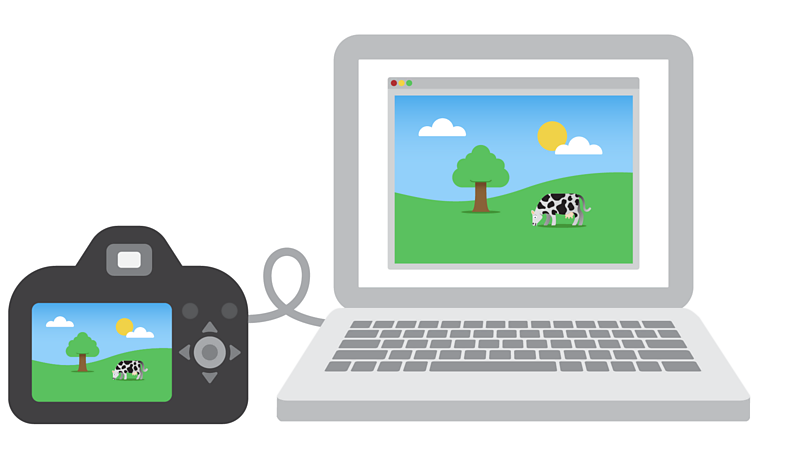 Information technology - KS2 Computing - BBC Bitesize