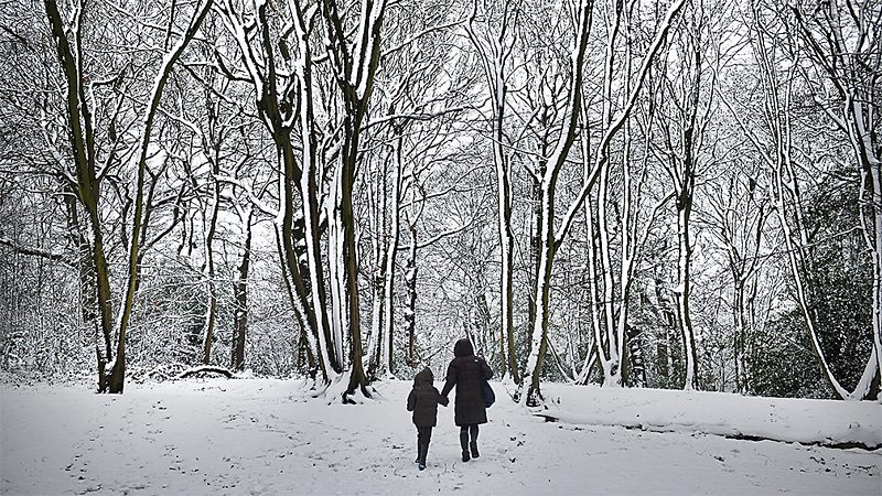 Space - KS3 Physics - BBC Bitesize