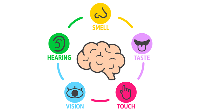 Year 5 Computer science - Year 5 Computing - BBC Bitesize
