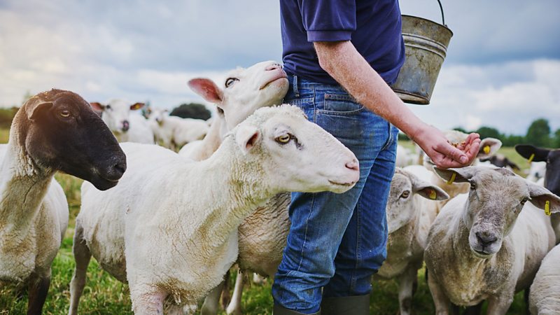 Farmers - BBC Bitesize