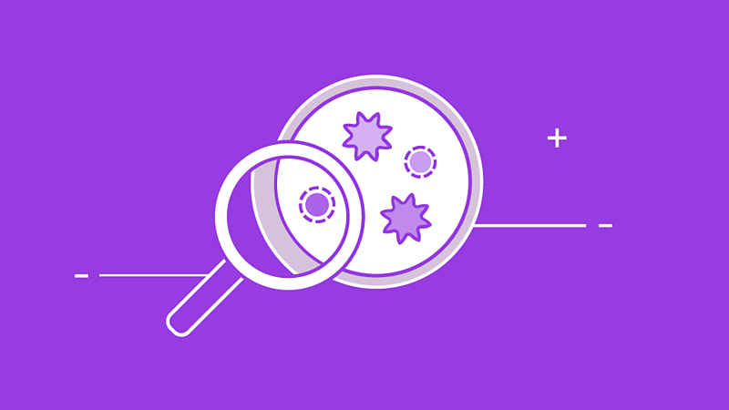 GCSE biology questions - plant organisation GCSE biology revision - BBC ...
