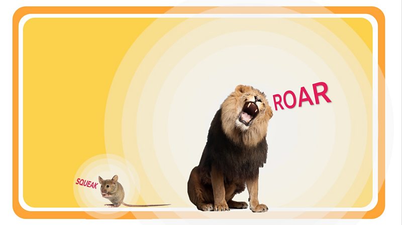 Find out all about sounds - Early Level Science - BBC Bitesize