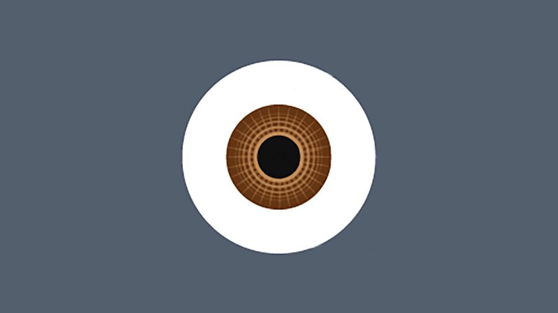 TGAU Bioleg - BBC Bitesize