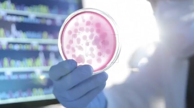 Human Cells - Higher Human Biology - BBC Bitesize