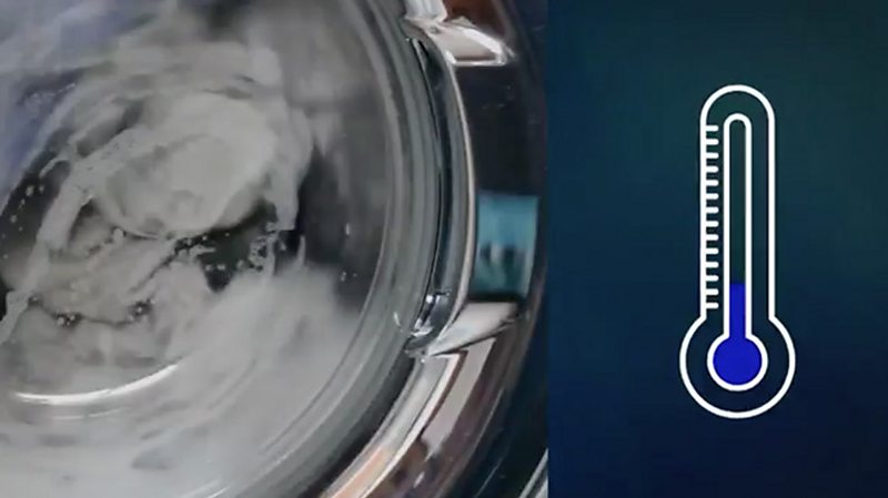 Revise: Enzymes - National 4 Biology - BBC Bitesize