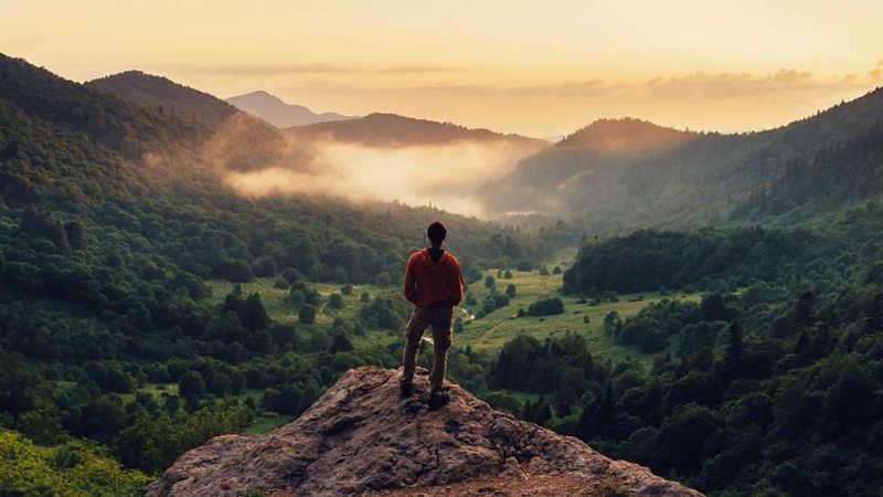 Whilst Leila Sleeps - Jackie Kay poetry - National 5 English Revision ...