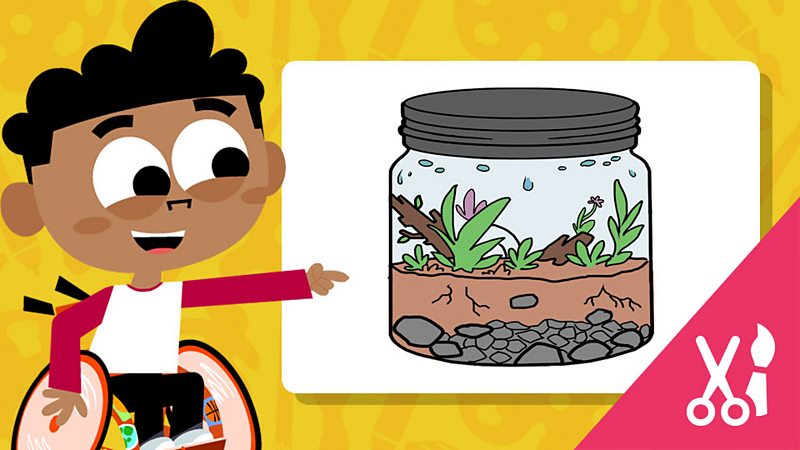 How do I care for the environment? - EYFS - Reception - BBC Bitesize