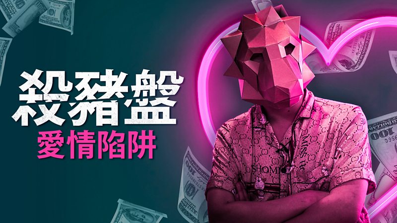 “杀猪盘”爱情陷阱揭秘：“我们如何诈骗数百万美金” - BBC News 中文