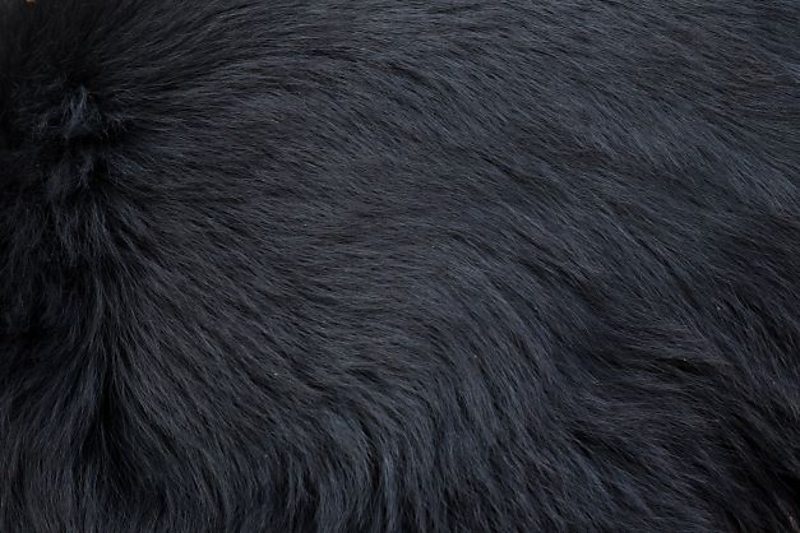 Drawing textures | KS1 | Primary - BBC Bitesize