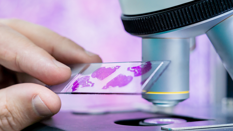 Prescribed practicals - GCSE Combined Science - BBC Bitesize