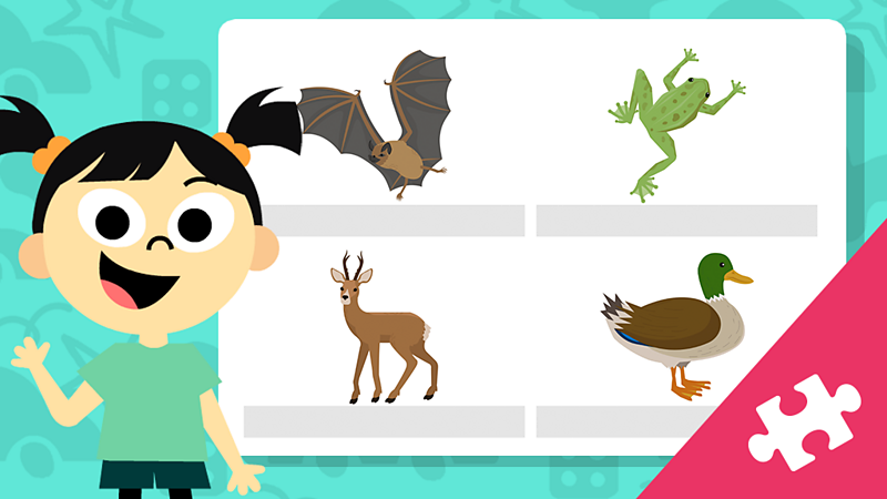 Guess the environment - EYFS - Reception - BBC Bitesize