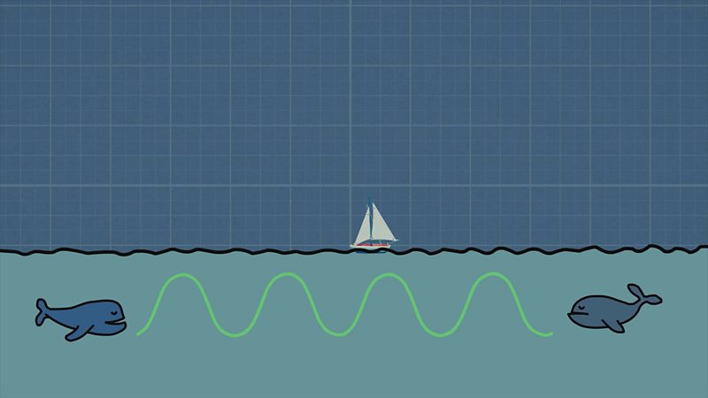 Light and sound - 2nd level Science - BBC Bitesize