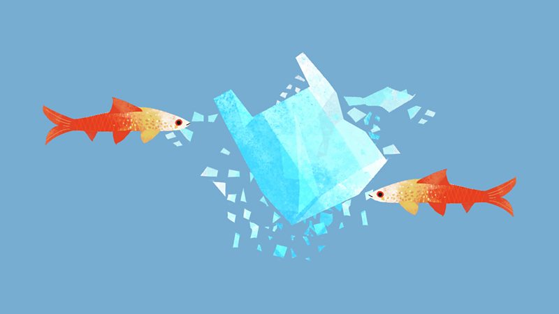 KS1 Geography: Oceans - The plastic problem - BBC Teach