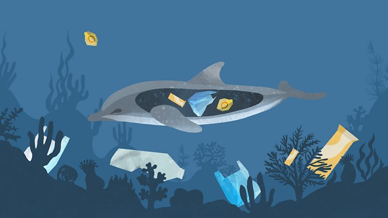 KS1 Geography: Oceans - The plastic problem - BBC Teach