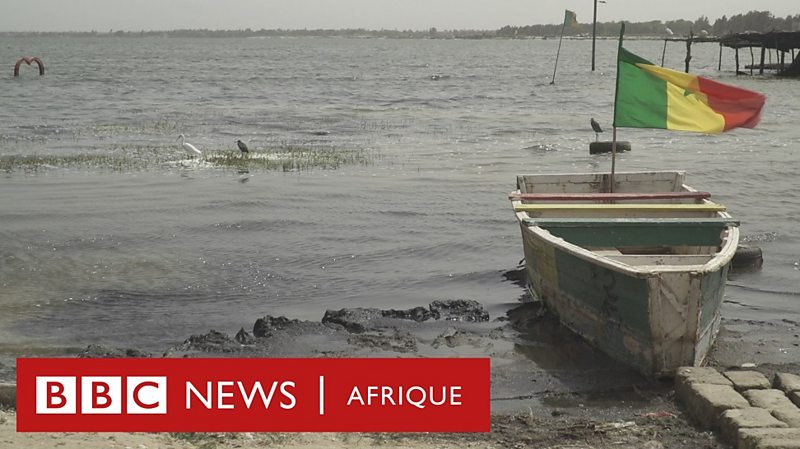 Pourquoi le lac rose n'est plus rose - BBC News Afrique