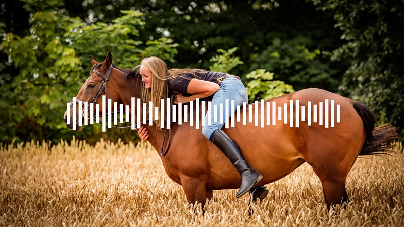 Gracie Spinks inquest: Evidence of woman's killing 'overwhelming' - BBC ...