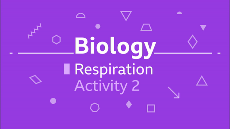 Quizzes - GCSE Combined Science - BBC Bitesize
