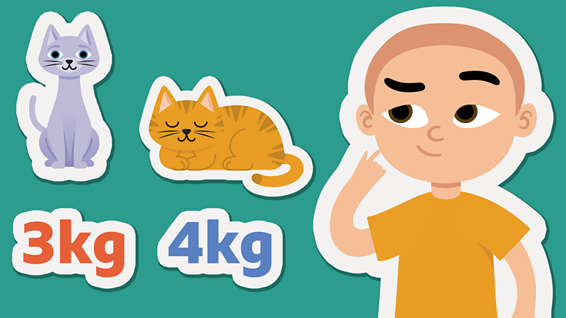 Measuring - Year 2 Maths - BBC Bitesize