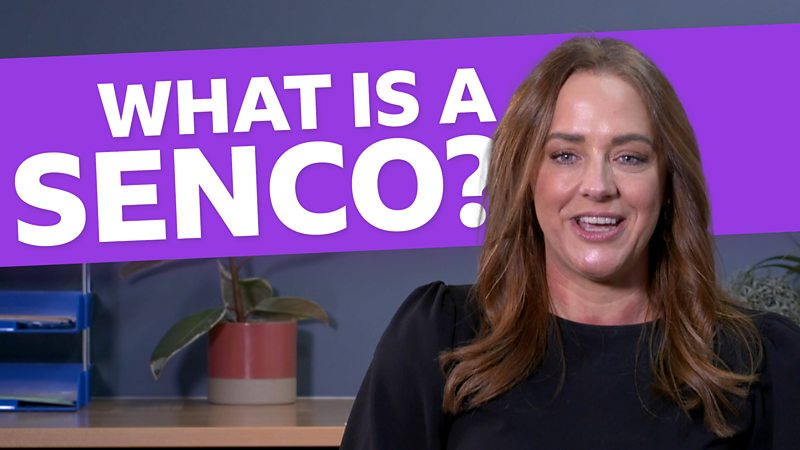 EHCP meaning, process and timeline explained for parents - BBC Bitesize