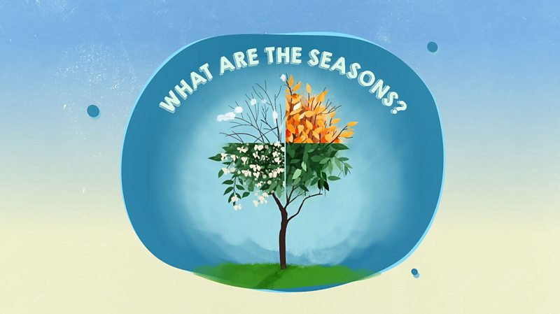 Seasons: KS1 Science resources - BBC Teach