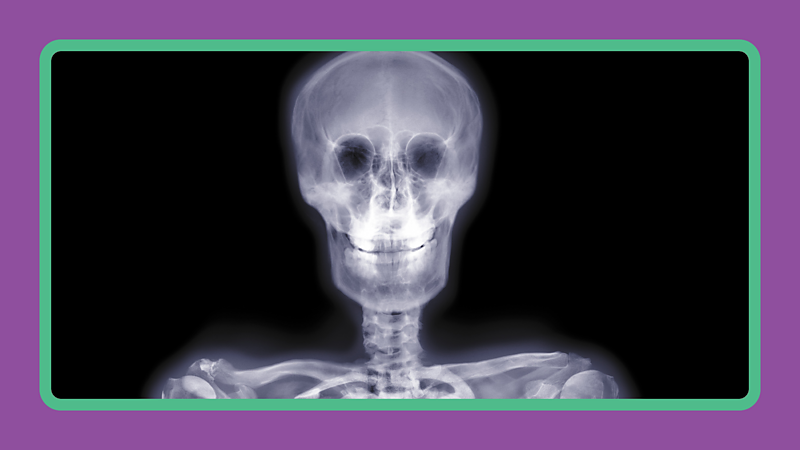What does your skeleton do? – KS2 Science curriculum - BBC Bitesize