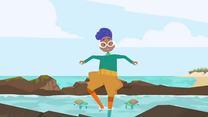 Oceans - KS2 - BBC Bitesize