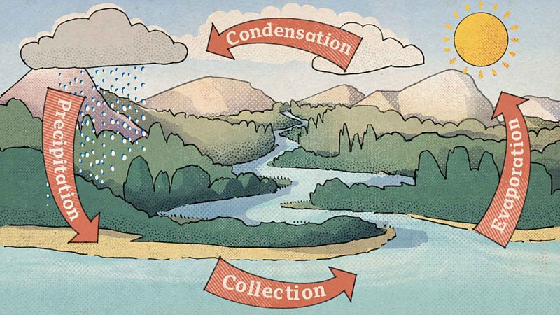 Oceans - KS2 - BBC Bitesize