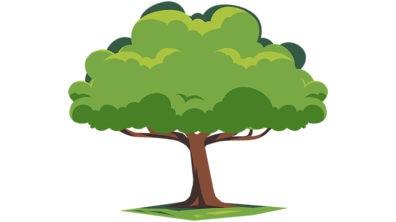 The structure of flowering plants - KS2 Science curriculum - BBC Bitesize