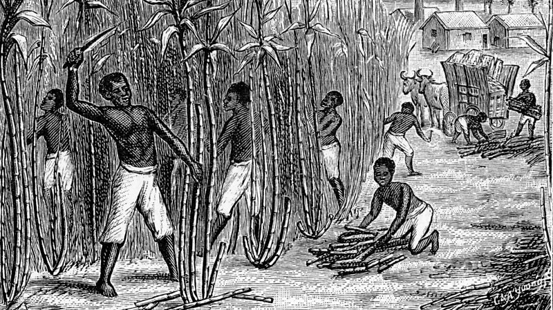 Trade in enslaved African people - National 5 History - BBC Bitesize