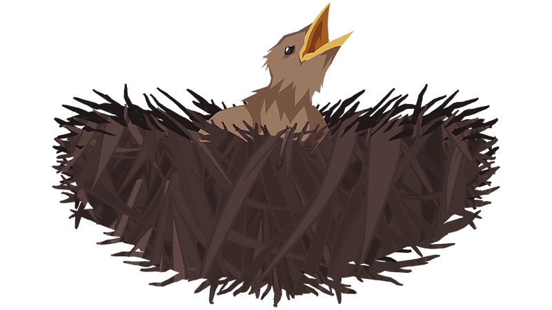 How do animals grow? - KS1 Science curriculum - BBC Bitesize