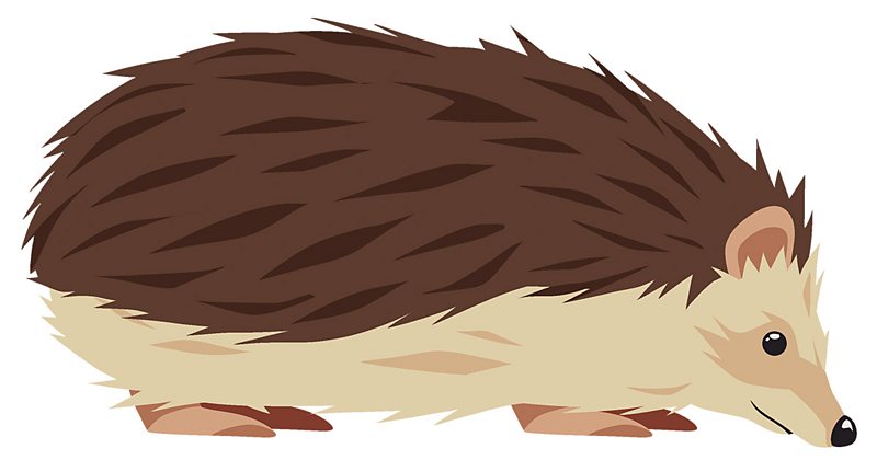 What are the seasons? – KS1 Science curriculum - BBC Bitesize