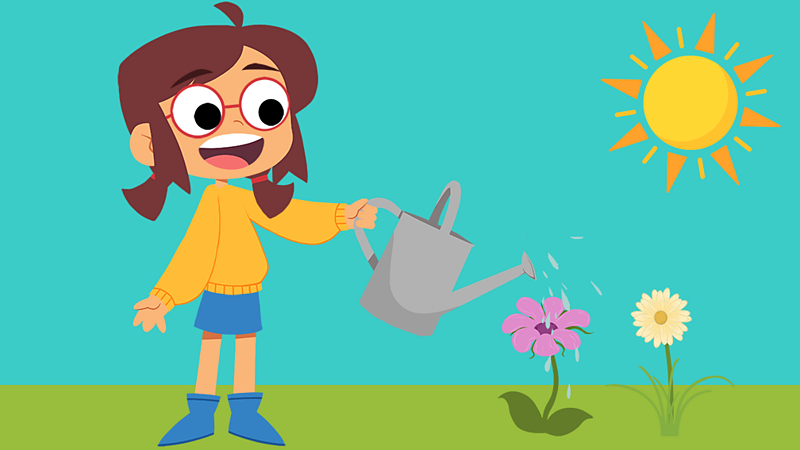 Plants - Year 2 Science - BBC Bitesize