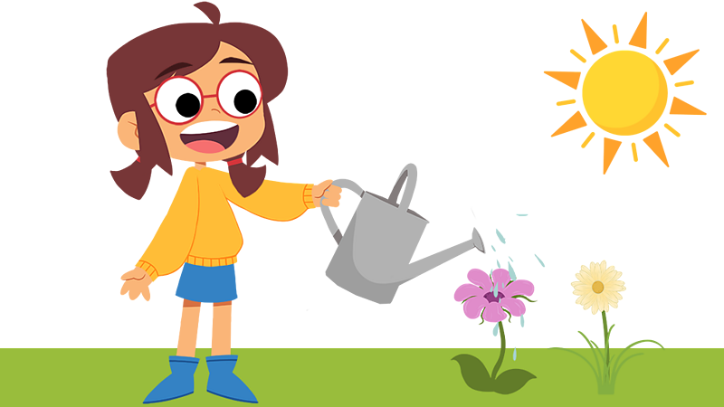 What does a plant need to grow? – KS1 Science curriculum - BBC Bitesize