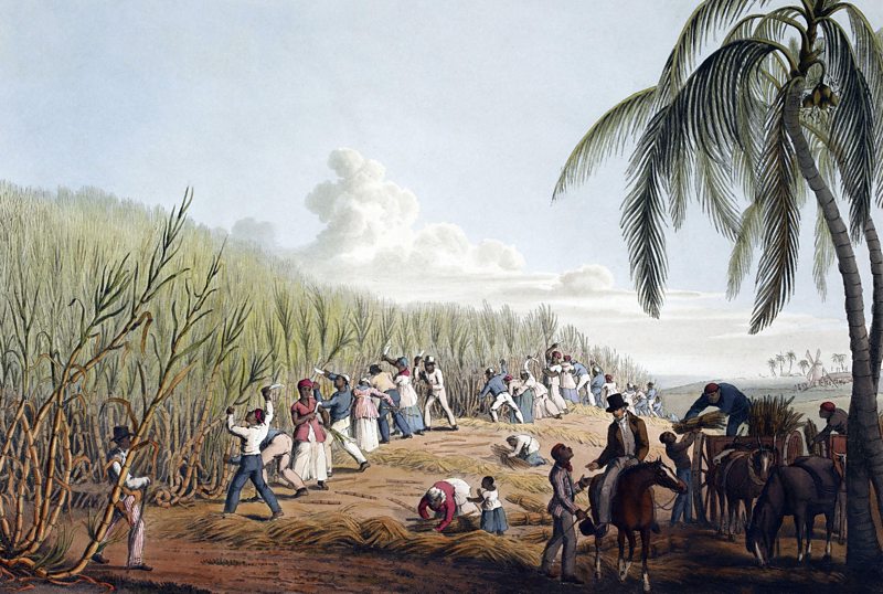 Trade in enslaved African people - National 5 History - BBC Bitesize
