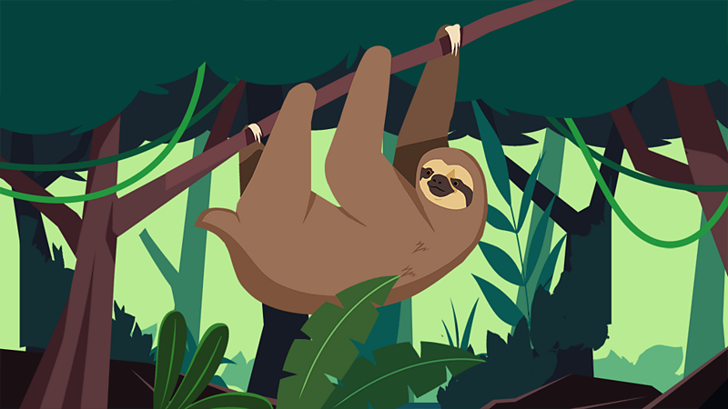 What is a habitat? - KS1 Science curriculum - BBC Bitesize