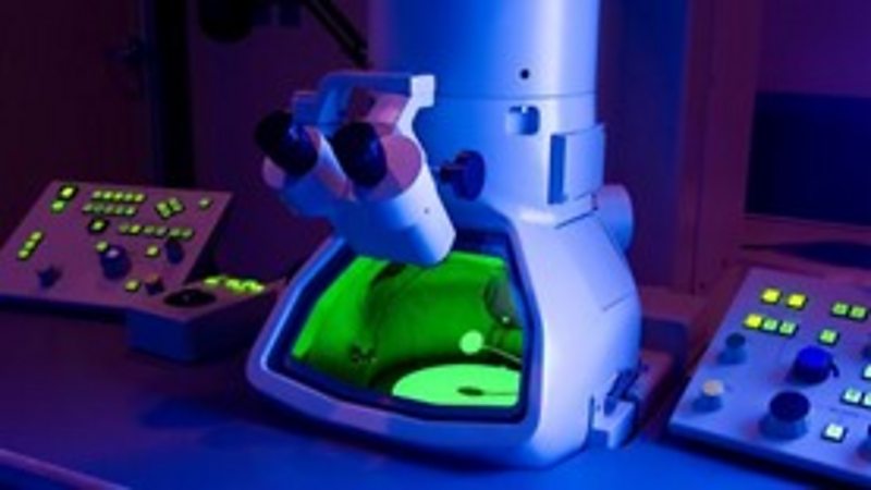 What is microscopy, size and magnification in GCSE Biology? - BBC Bitesize