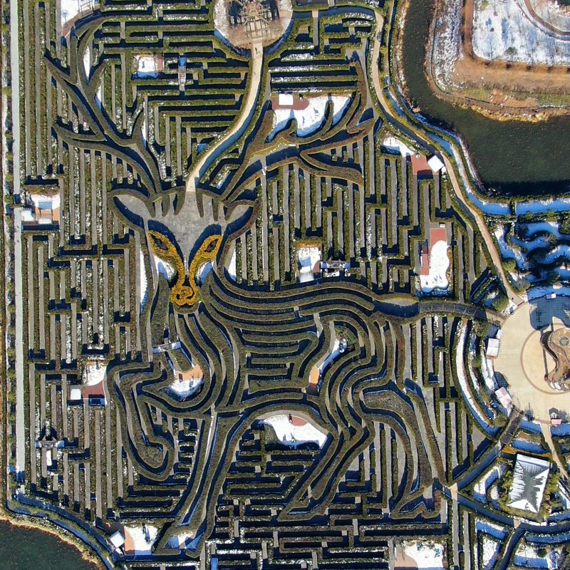 Five amazing mazes across the world - BBC Bitesize