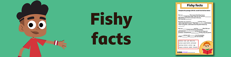 What are fish? KS1 Science curriculum - BBC Bitesize