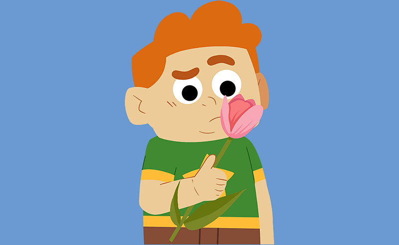 Animals including humans - KS1 Science - BBC Bitesize