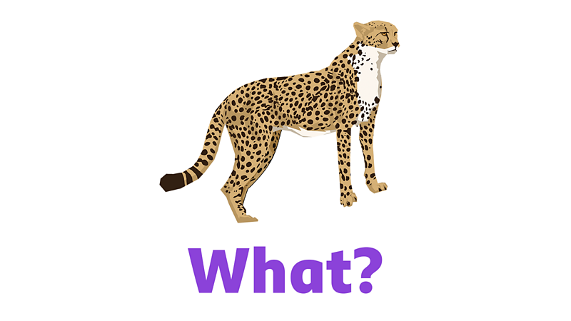 Why do scientists ask questions? – KS1 Science curriculum - BBC Bitesize