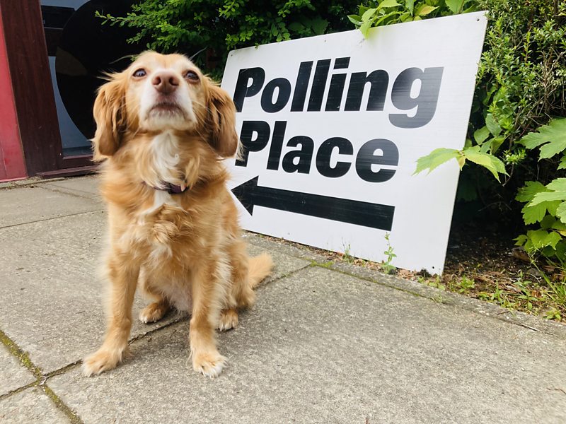 Democracy in Scotland - National 5 Modern Studies - BBC Bitesize