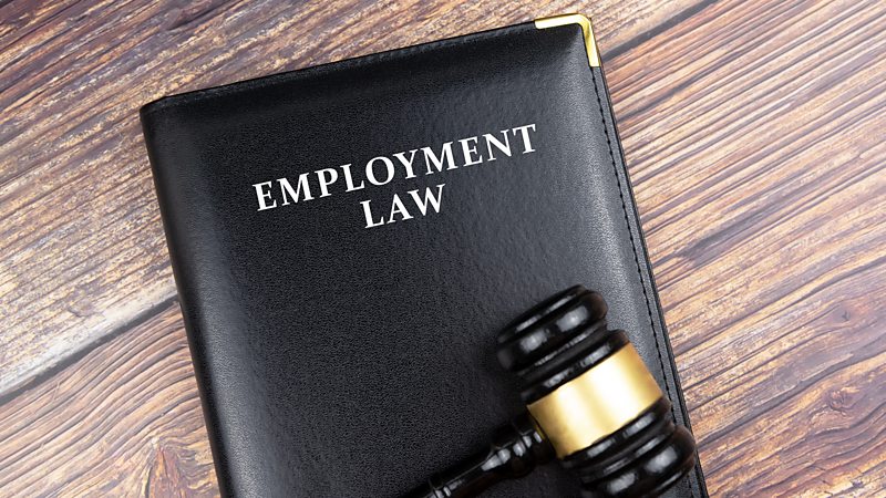 What is employment law? - BBC Bitesize