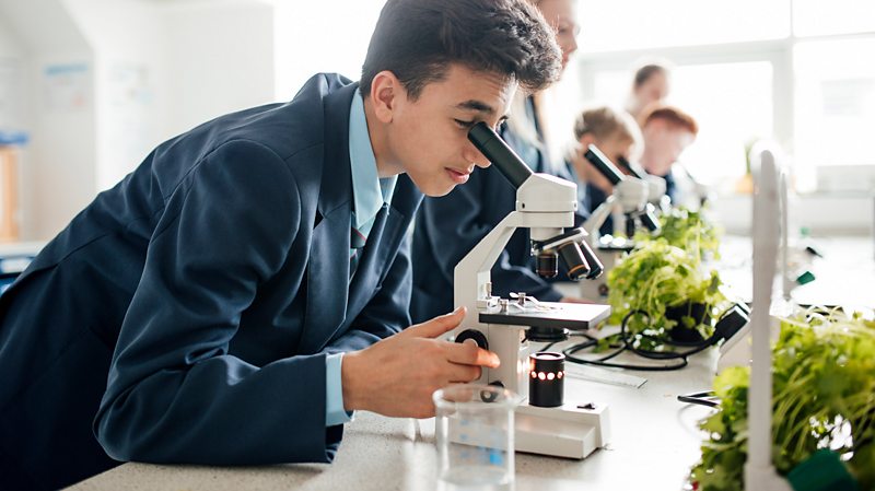 Genetics - GCSE Combined Science - BBC Bitesize