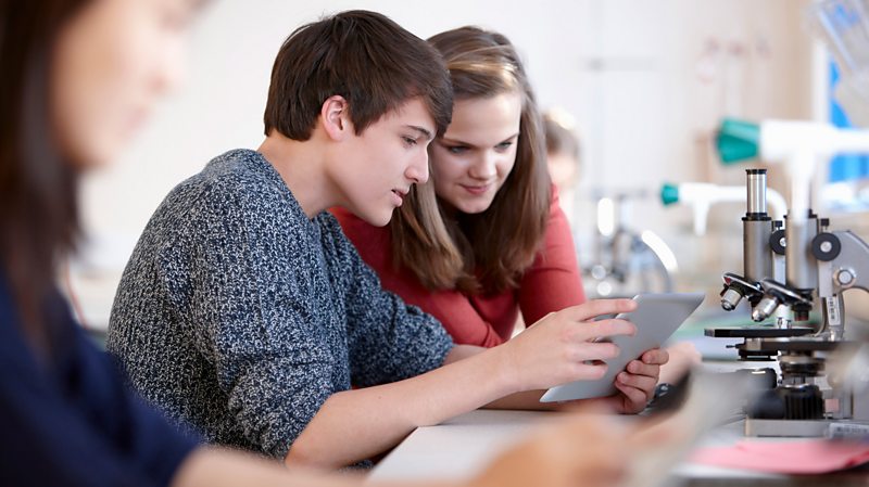 What is mitosis? Combined Science interactive - OCR Gateway - BBC Bitesize